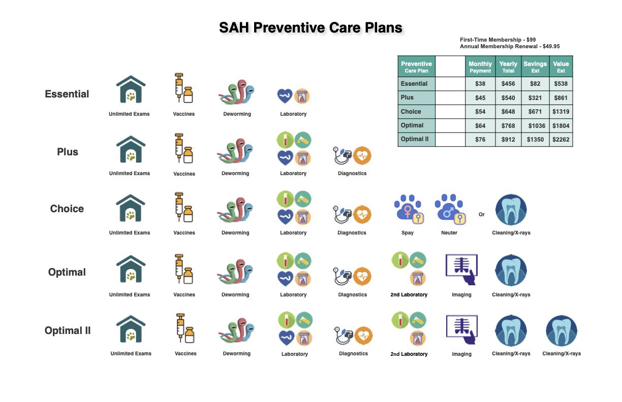 Preventative Care for Pets | Shallowford Animal Hospital